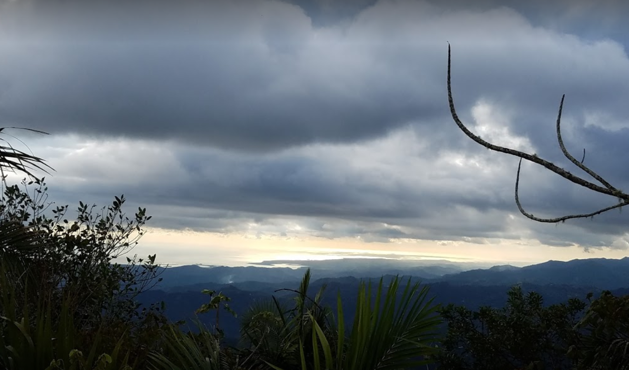 Bosque estatal de Toro Negro Jayuya, Puerto Rico - Descubra Puerto Rico