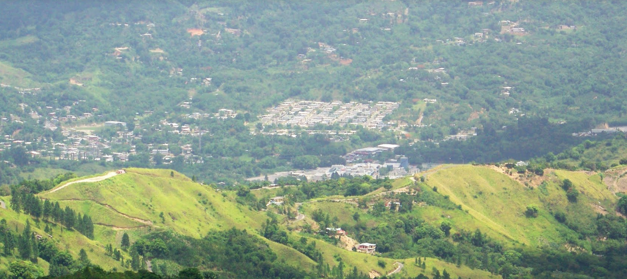 Bosque estatal de Toro Negro Jayuya, Puerto Rico - Descubra Puerto Rico
