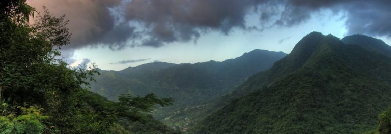 Bosque estatal de Toro Negro Jayuya, Puerto Rico - Descubra Puerto Rico