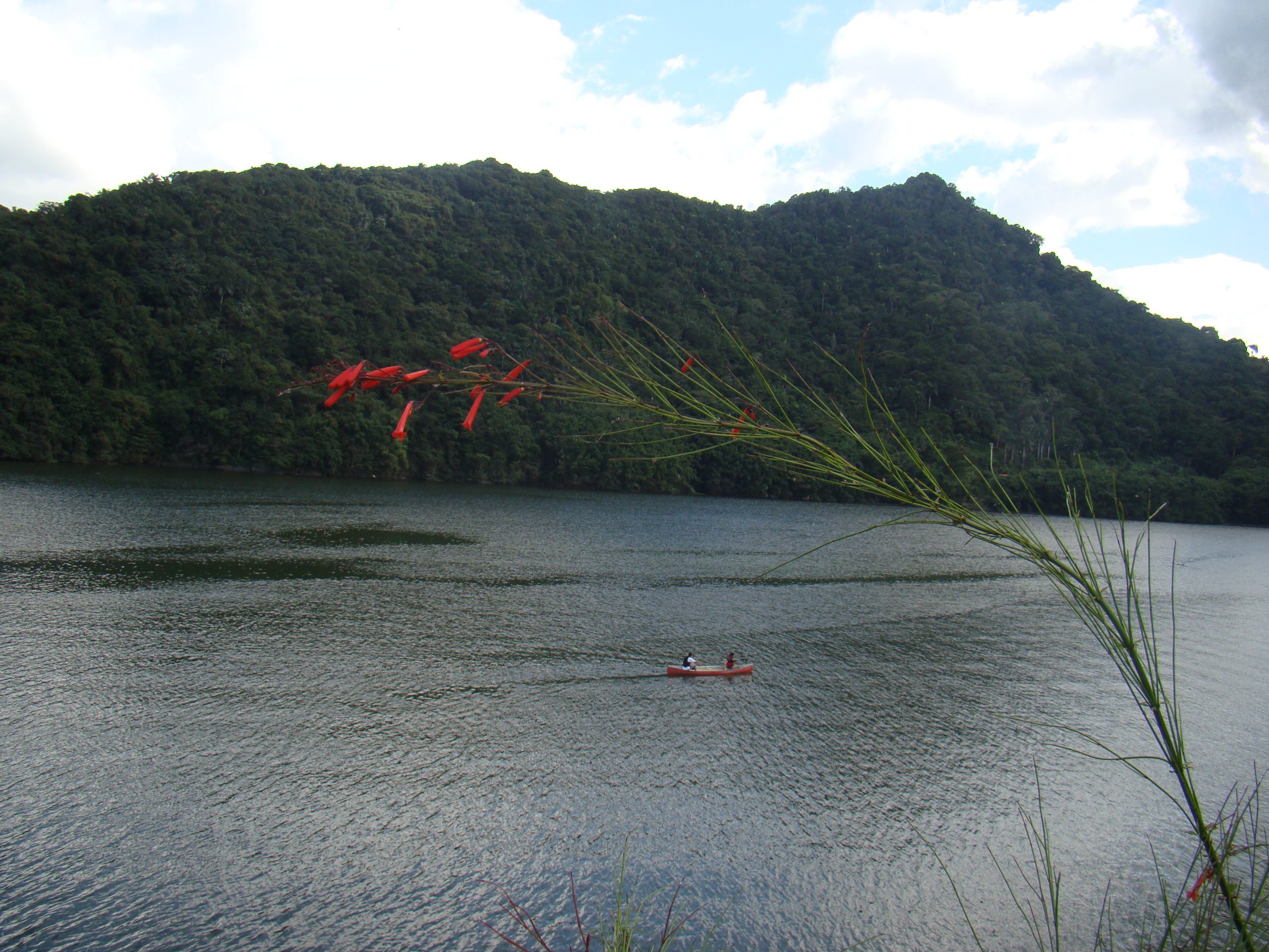 Migdalia Perez - Descubra Puerto Rico
