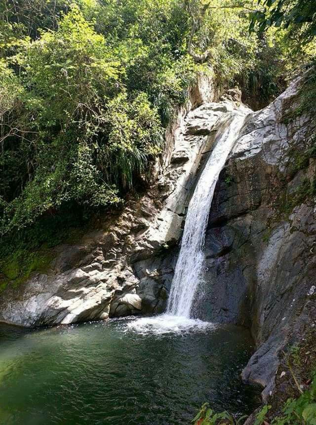 El Charco el Café en Collores de Juana Díaz, Puerto Rico - Descubra ...