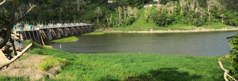 Lago Carraizo Trujillo Alto, Puerto Rico - Descubra Puerto Rico