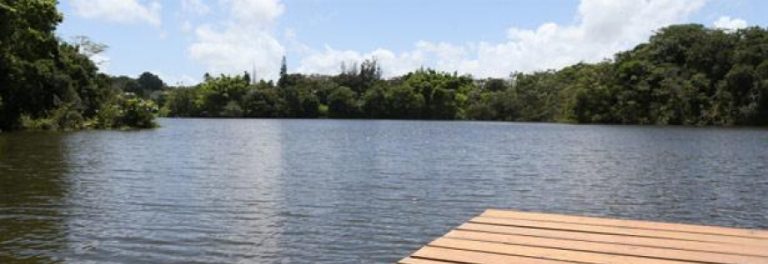 Lago de Cidra, Puerto Rico - Descubra Puerto Rico