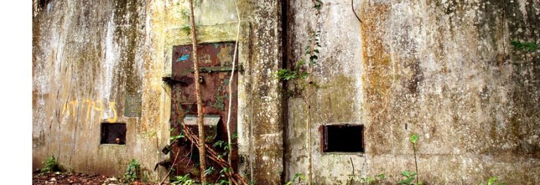 Parque Julio E. Monagas Bayamón, Puerto Rico - Descubra Puerto Rico