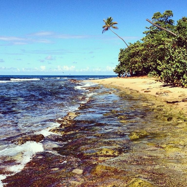 Playa Marias Rincón, Puerto Rico - Descubra Puerto Rico