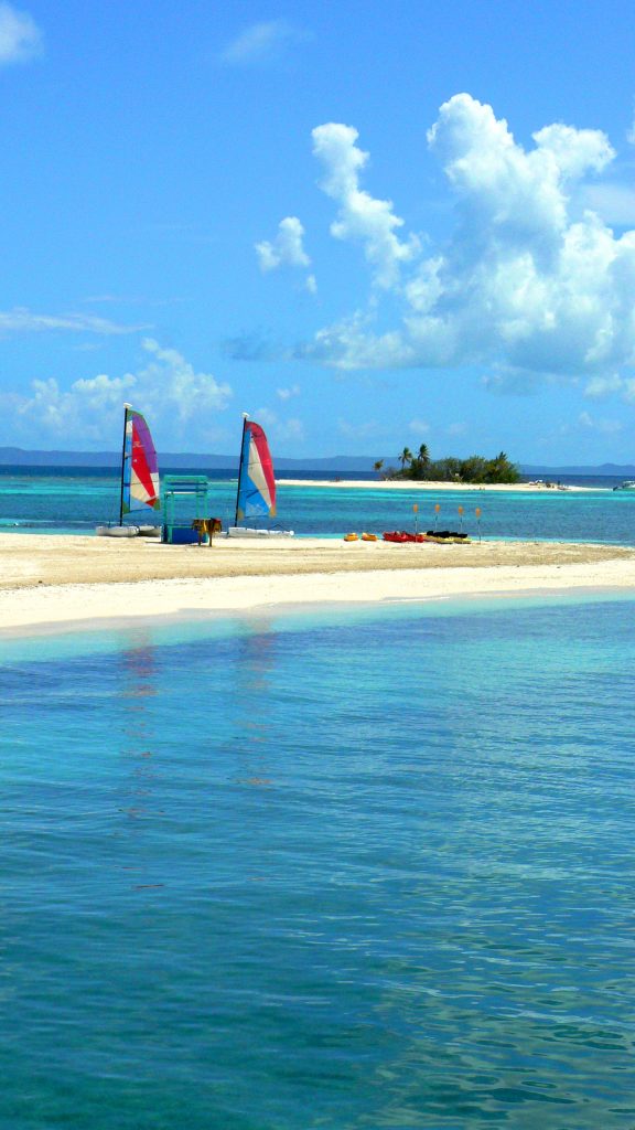 Palomino y Palominito - Descubra Puerto Rico