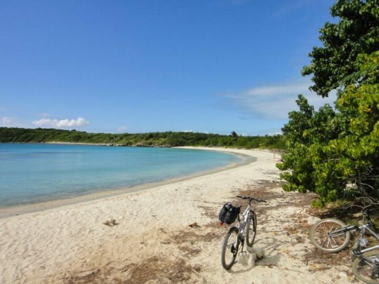 Playa Secreta Vieques, Puerto Rico - Descubra Puerto Rico