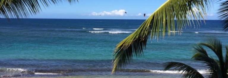 Playa Shacks Isabela, Puerto Rico - Descubra Puerto Rico