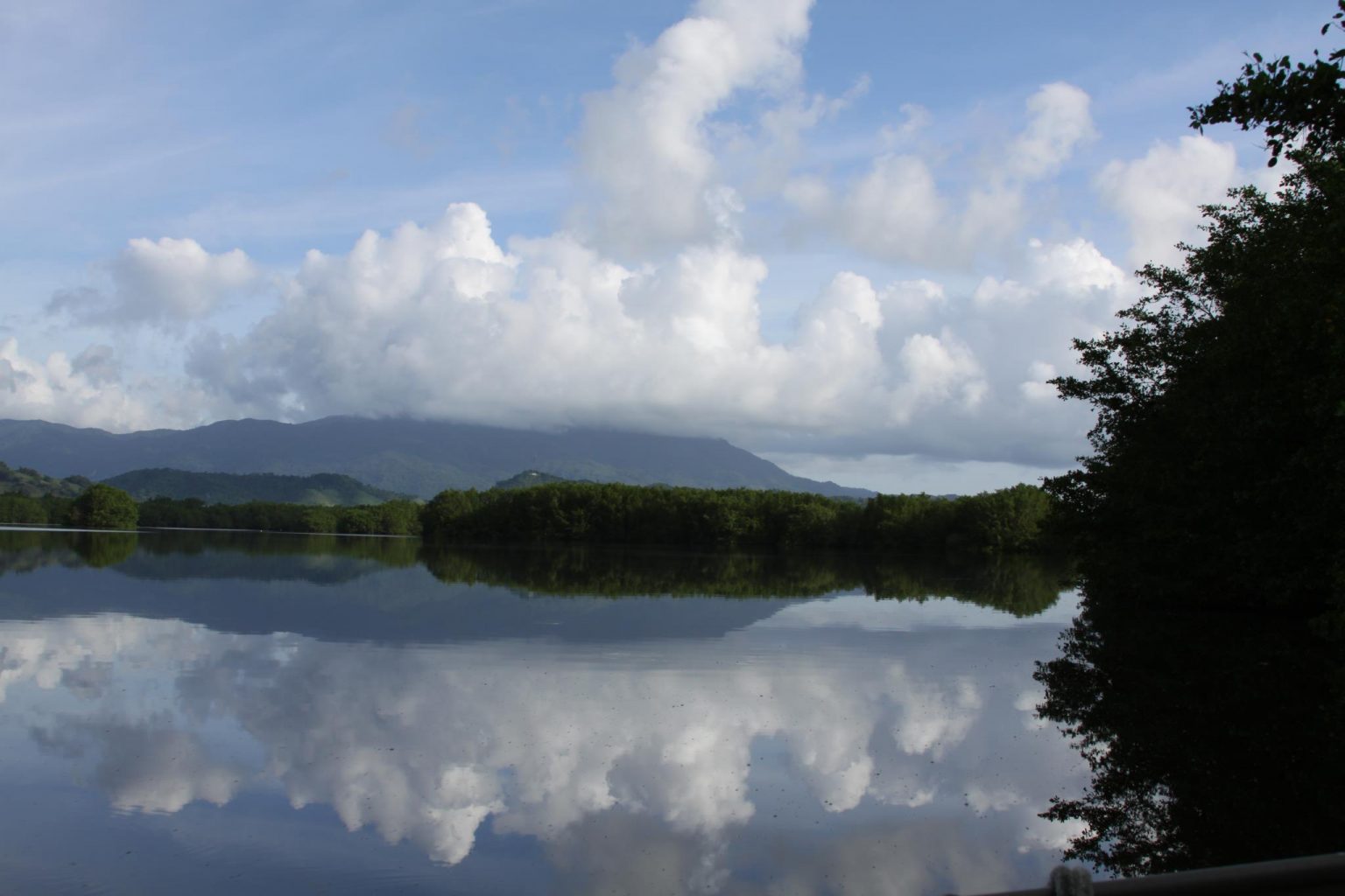 Reserva Natural de Humacao, Puerto Rico - Descubra Puerto Rico